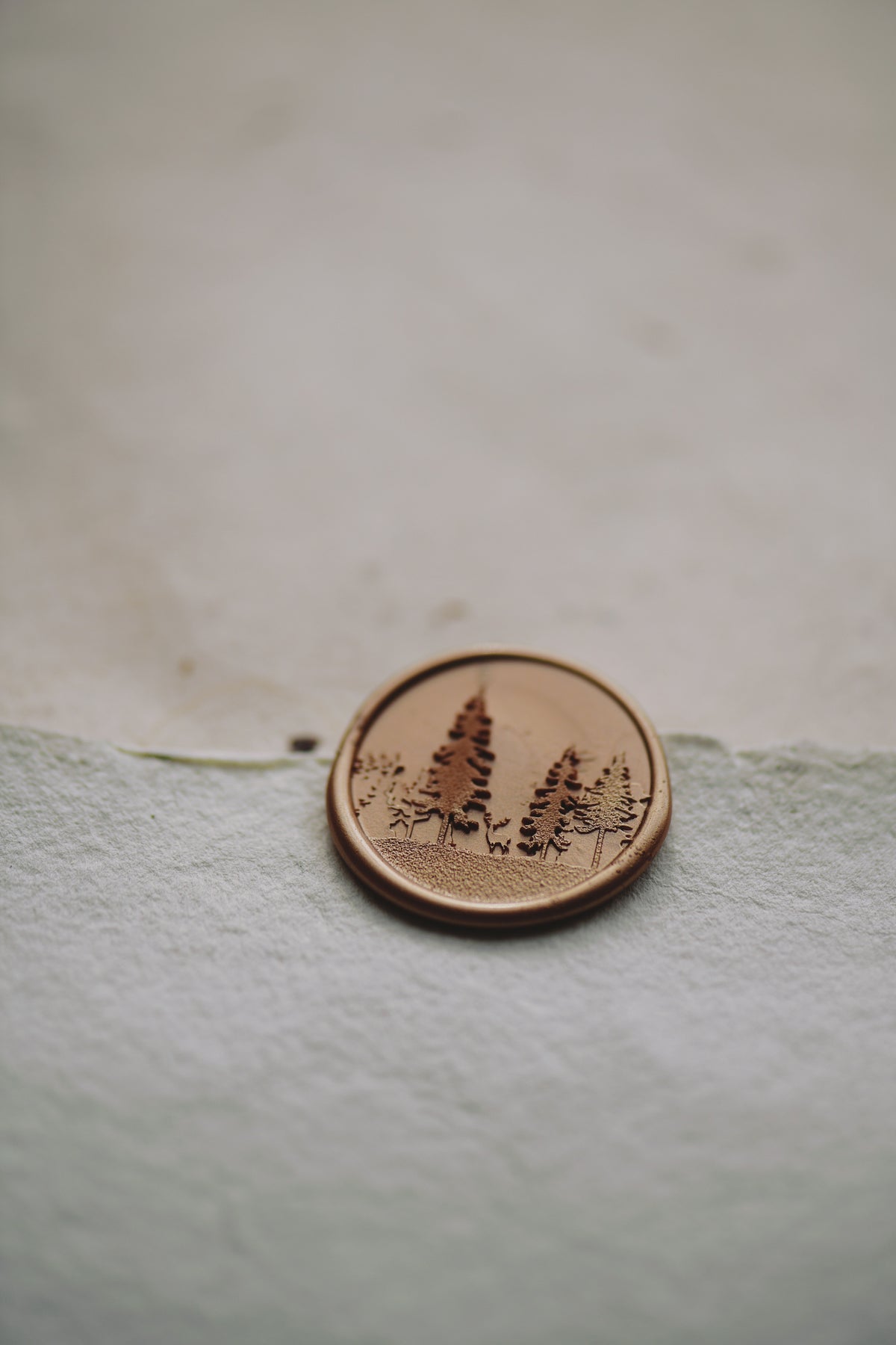 Pelargon Design Stockholm